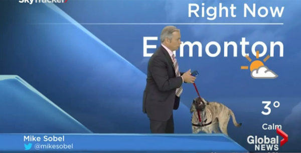 Weatherman Mike Sobel + Ripple the Dog = Funny Forecast