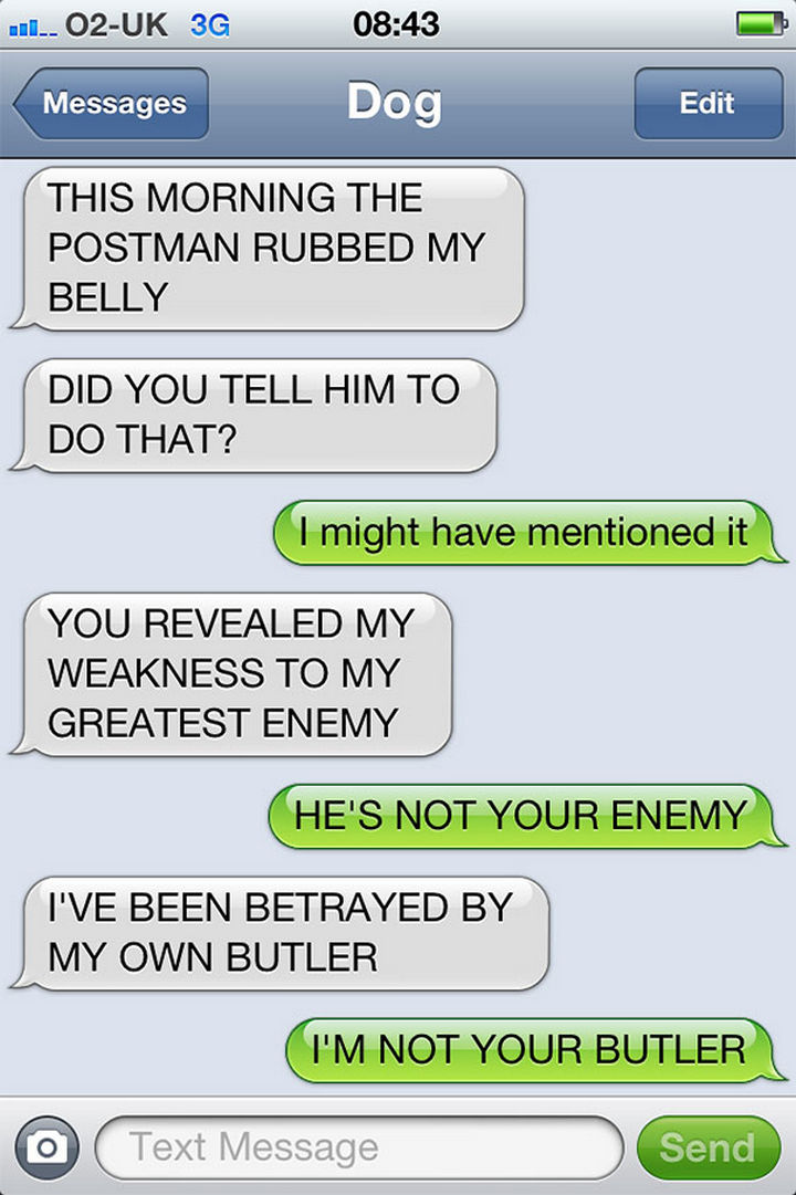 22 Funny Dog Texts If Dogs Could Text