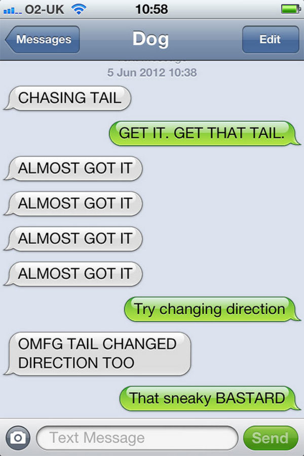 22 Funny Dog Texts If Dogs Could Text