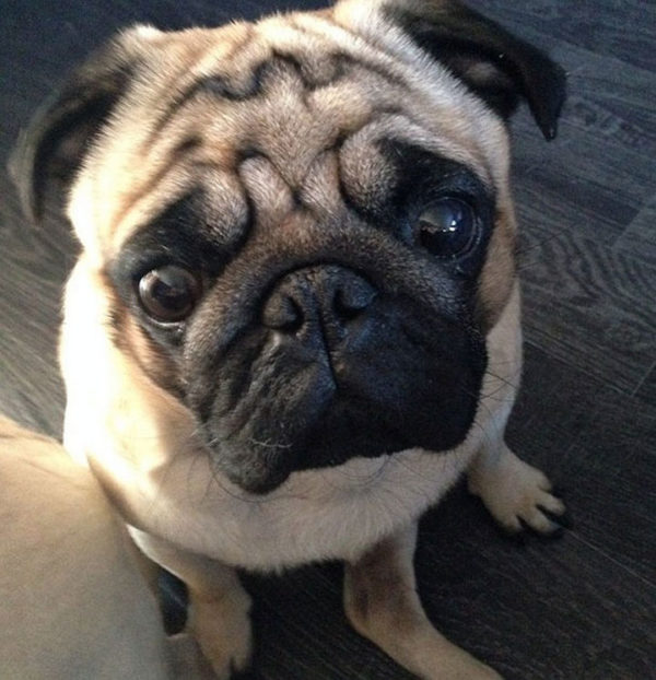 25 Things That Can T Be Unseen Even If You Wanted To