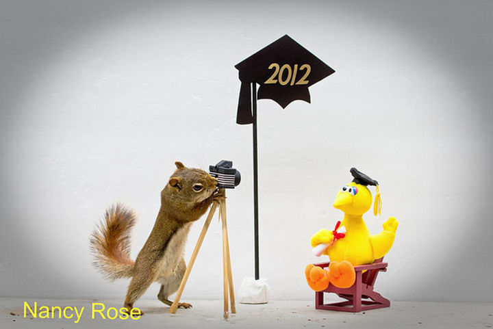 Author-Photographer Nancy Rose Captures Funny Moments With Squirrels