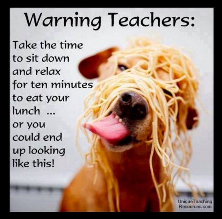 67 Funny Teacher Memes That Are Even Funnier If You're a Teacher!