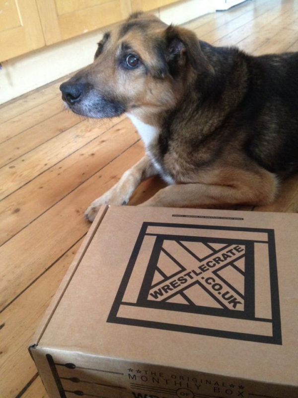 13 Dogs Looking and Feeling Guilty. #4 Is So Busted.