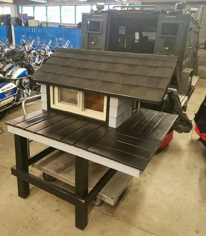 Boston Police SWAT Team Build a Cat Condo for Their Stray "SWAT Cat"