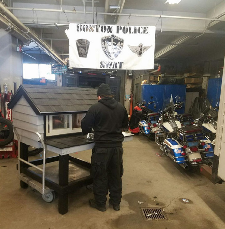 Boston Police SWAT Team Build a Cat Condo for Their Stray "SWAT Cat"
