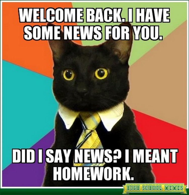 49 Funny School Memes That Remind Us 'Back to School' Isn't Exciting ...