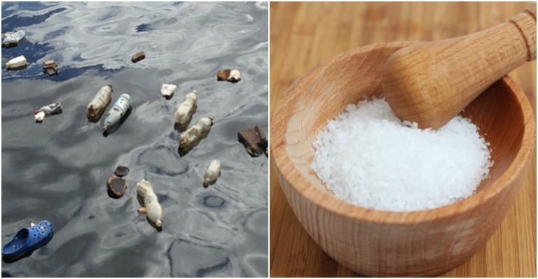Study: Most Brands of Sea Salt Contain Microplastics