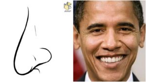 8 Types of Noses And What Its Shape Reveals About Your Personality