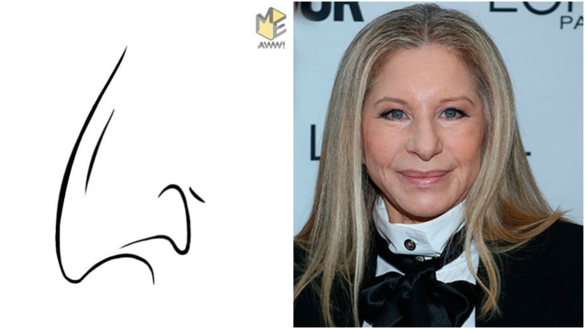 8 Types of Noses And What Its Shape Reveals About Your Personality