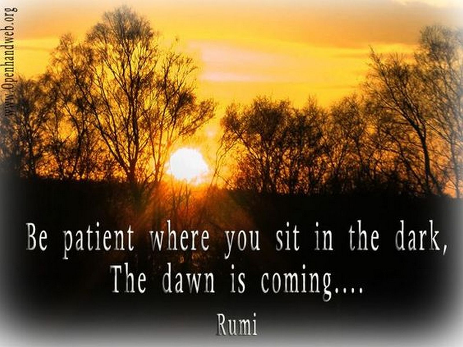 115 Rumi Quotes on Life and Love