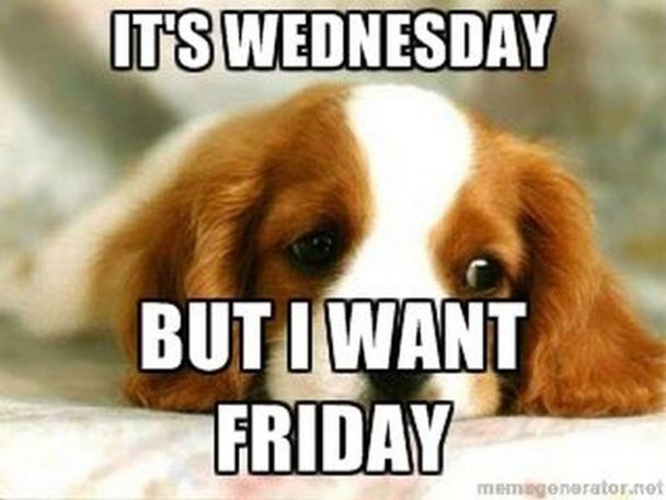 45 Funny Wednesday Memes to Make Your Hump Day a Little Better