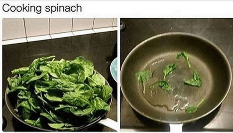 37 Funny Food Memes That'll Make You Hungry for More