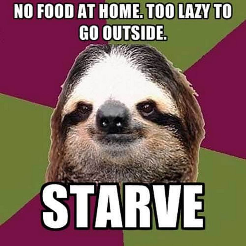 37 Funny Food Memes That'll Make You Hungry for More