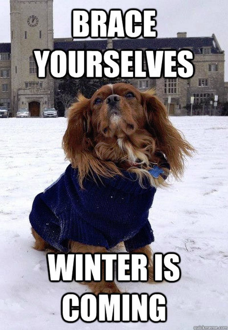 55 Funny Winter Memes That Are Instantly Relatable If You're Dealing ...
