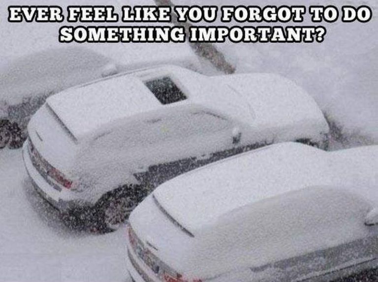 55 Funny Winter Memes That Are Instantly Relatable If You're Dealing ...