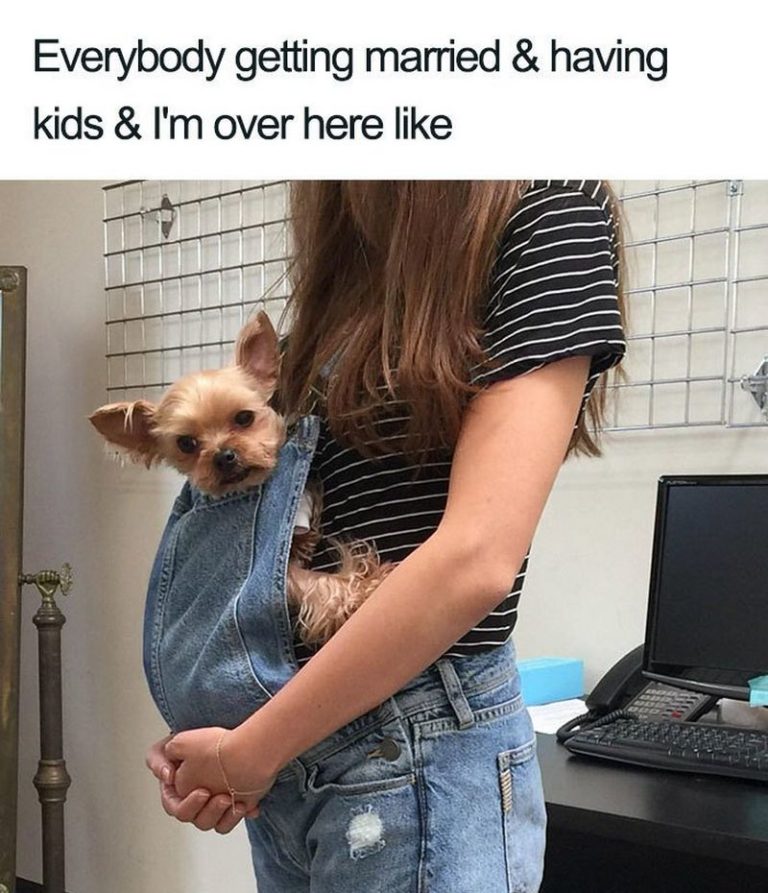 Millennials Are Choosing Pets Over Kids | Funny Memes