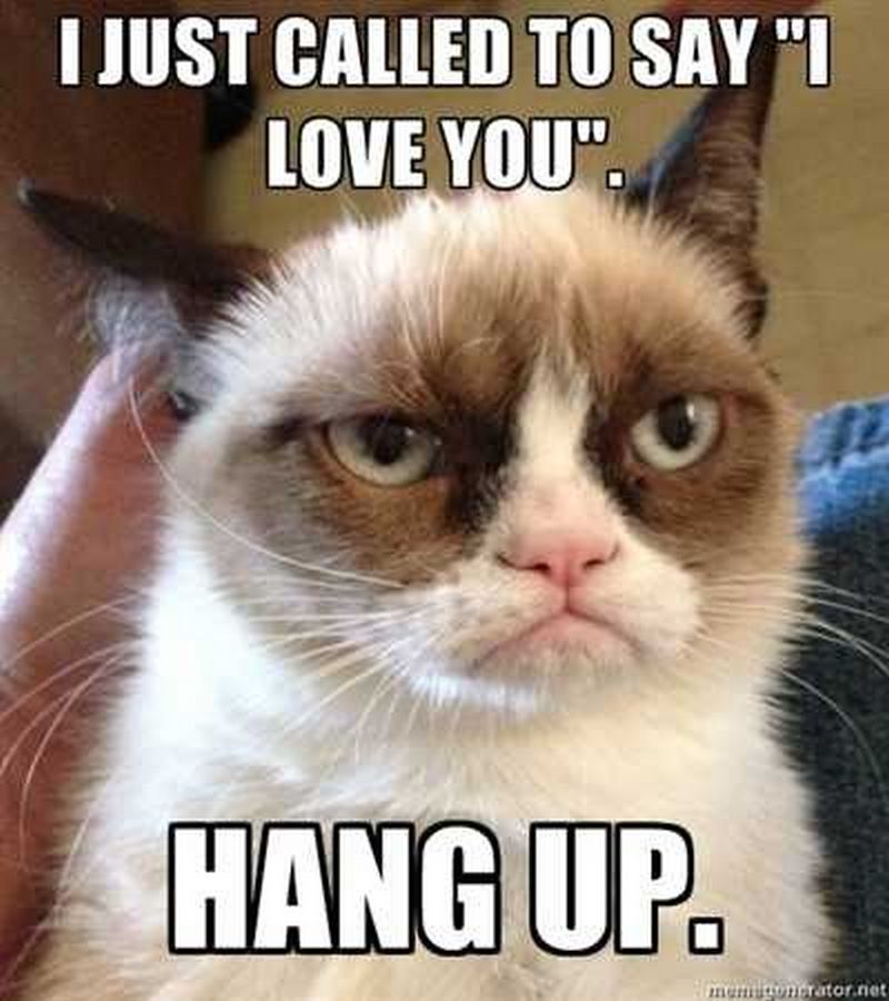 101 Funny I Love You Memes to Share with People You Like