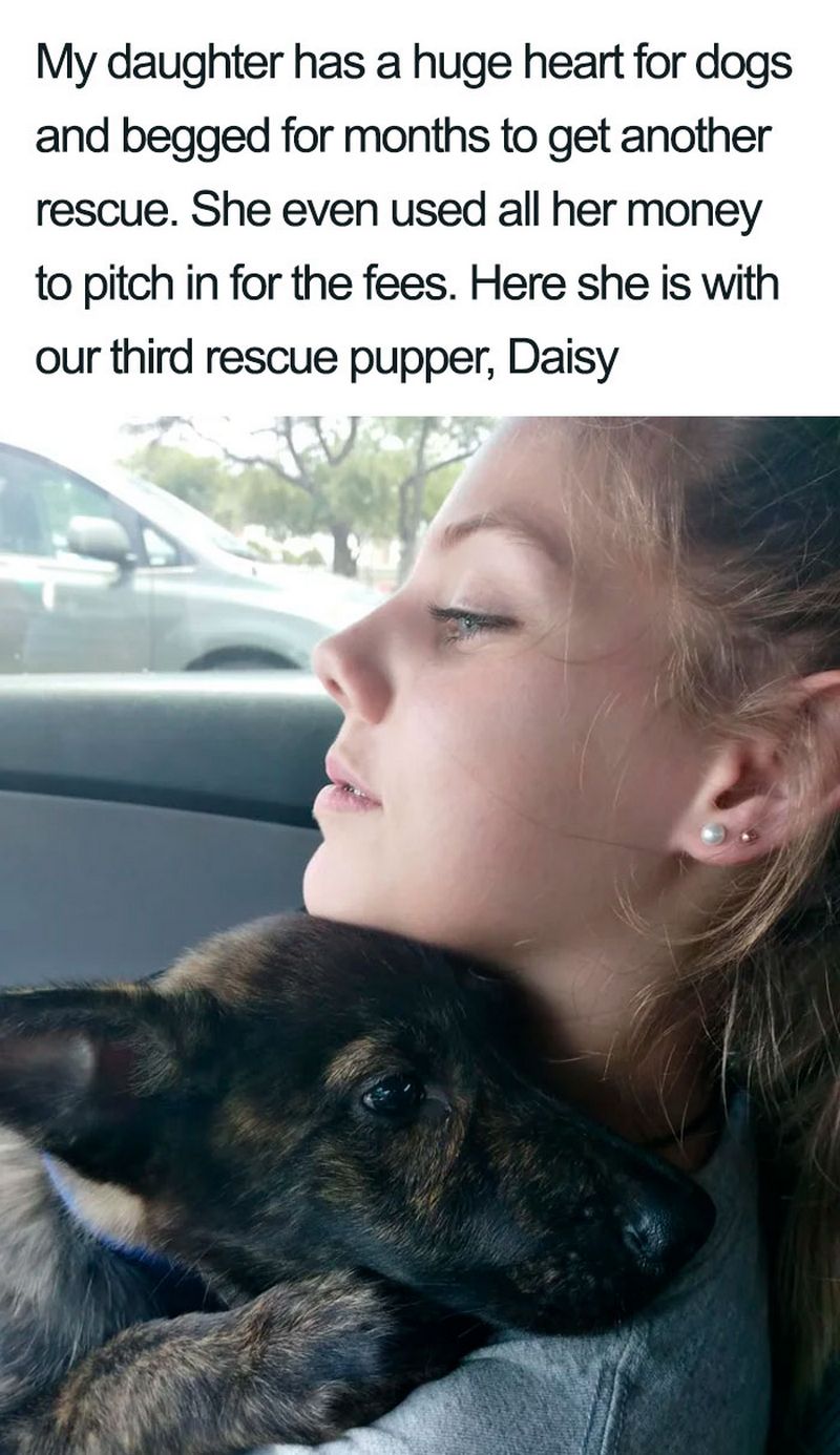 33 Cute Dog Posts That Will Have You Grinning All Day
