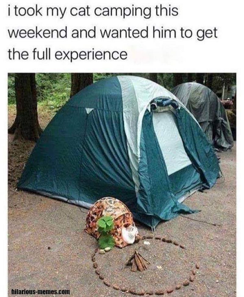 67 Hilarious Memes to Make the World Laugh Again