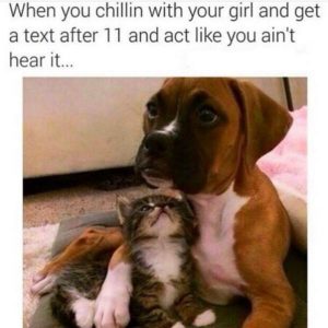 71 Funny Relationship Memes Made With Love