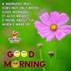 101 Good Morning Memes For Wishing a Beautiful Day