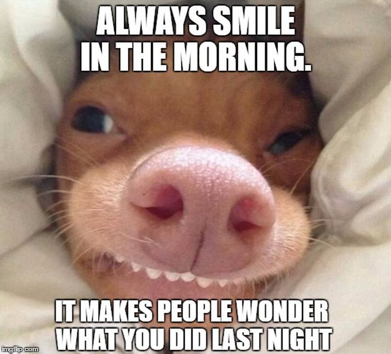 101 Good Morning Memes For Wishing a Beautiful Day