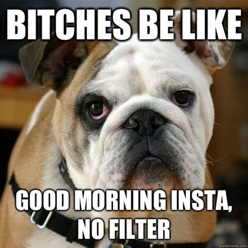 101 Good Morning Memes For Wishing a Beautiful Day