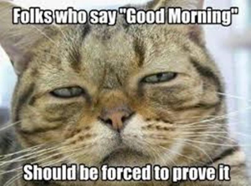 101 Good Morning Memes For Wishing a Beautiful Day