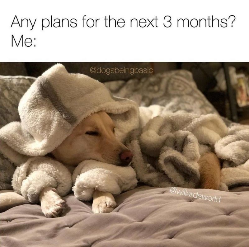 71 Funny Sleep Memes For Nights When Insomnia Hits