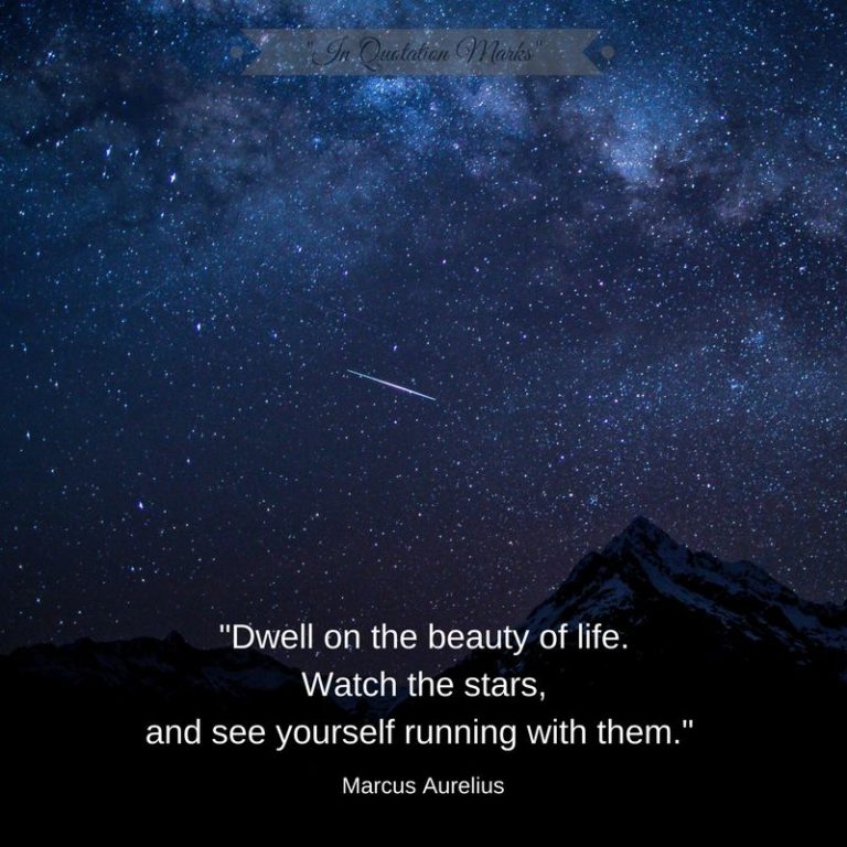 47 Life Is Beautiful Quotes and Images to Make You Smile