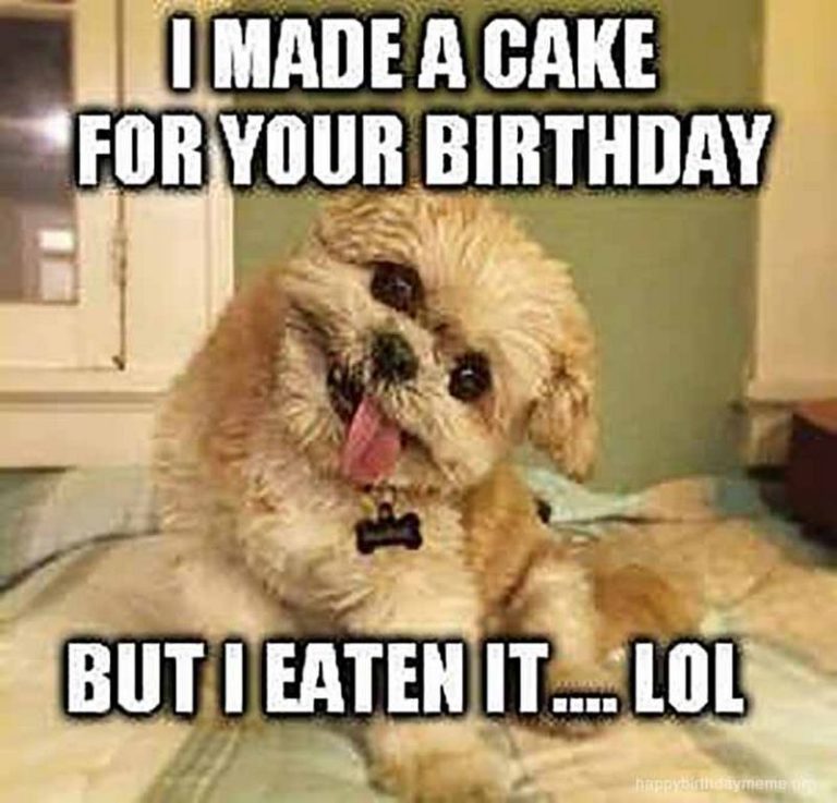 101 Funny Happy Birthday Dog Memes for Paw Lovers Everywhere