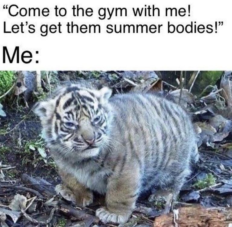 65 Gym Memes Offering Fitness and Workout Motivation All Year Round
