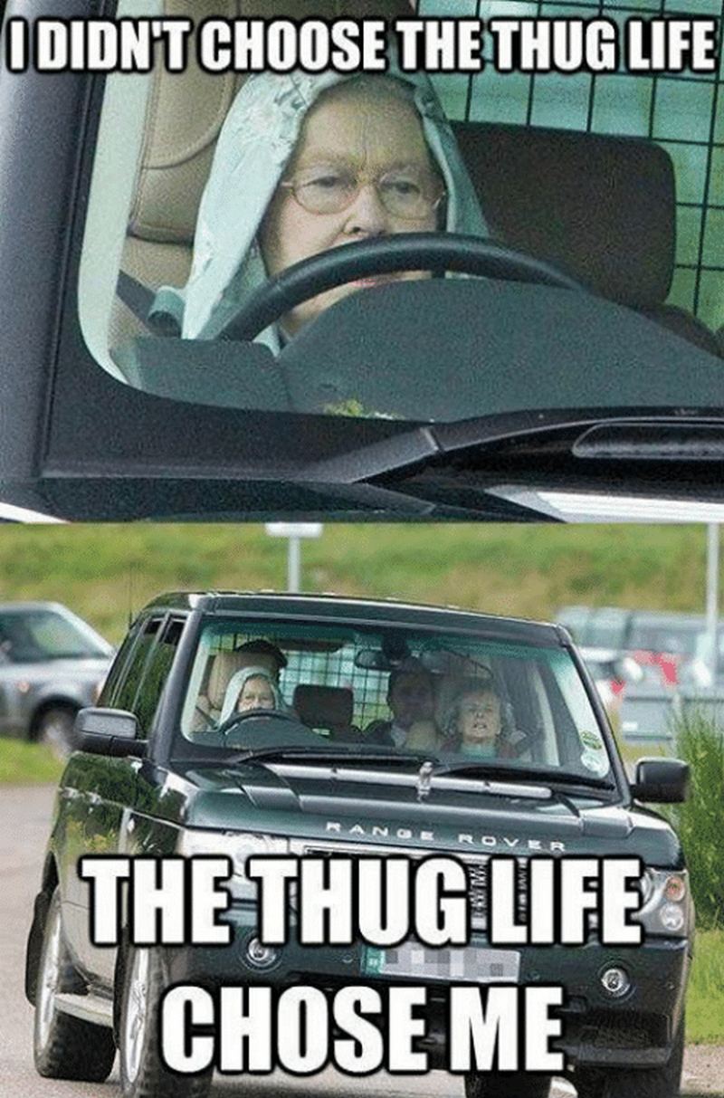 81 Funny Life Memes to Motivate and Inspire You