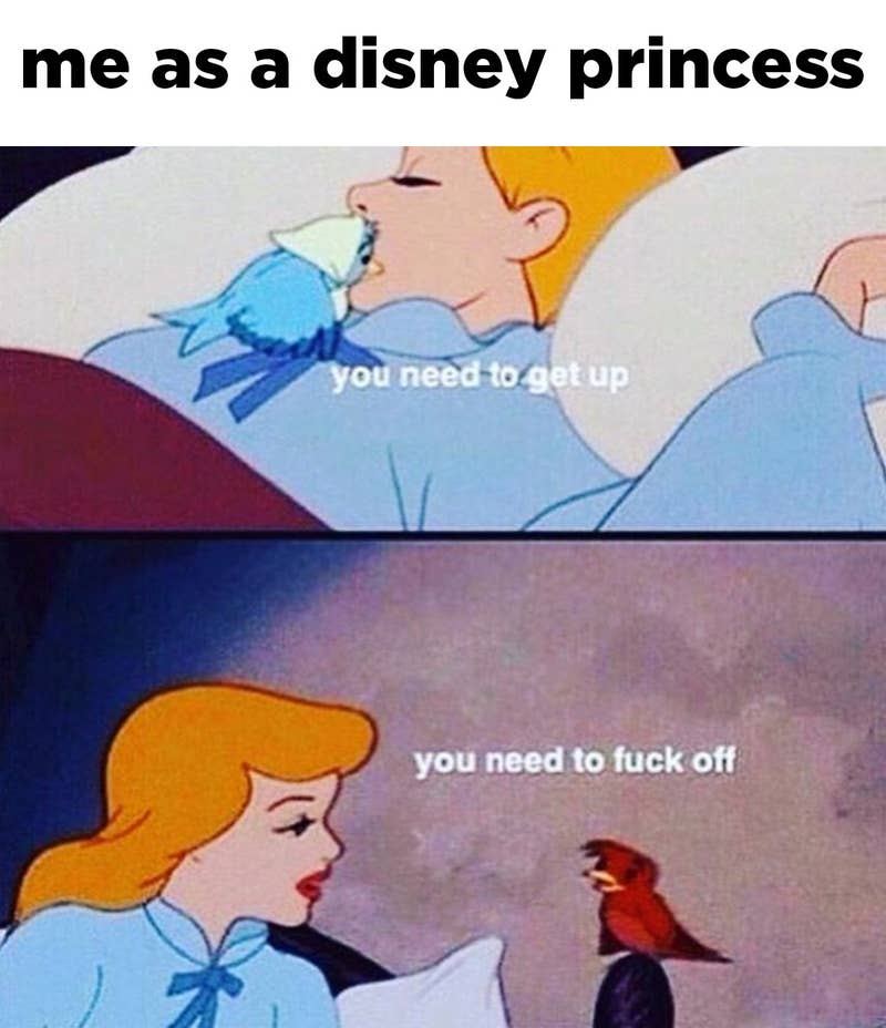 51 Funniest Disney Memes in the World Fit for a Prince or Princess