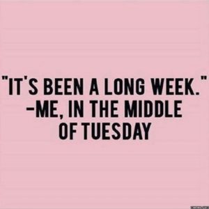 101 Funny Tuesday Memes When You're Happy You Made It