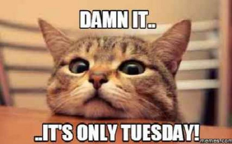 101 Funny Tuesday Memes When You're Happy You Made It