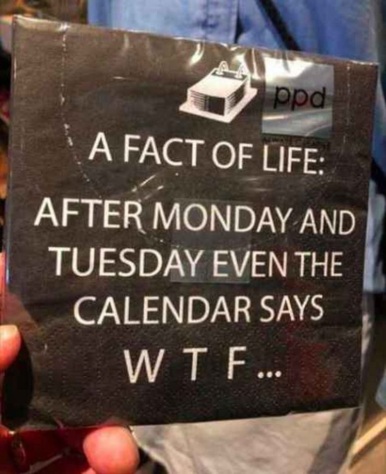 101 Funny Tuesday Memes When You're Happy You Made It