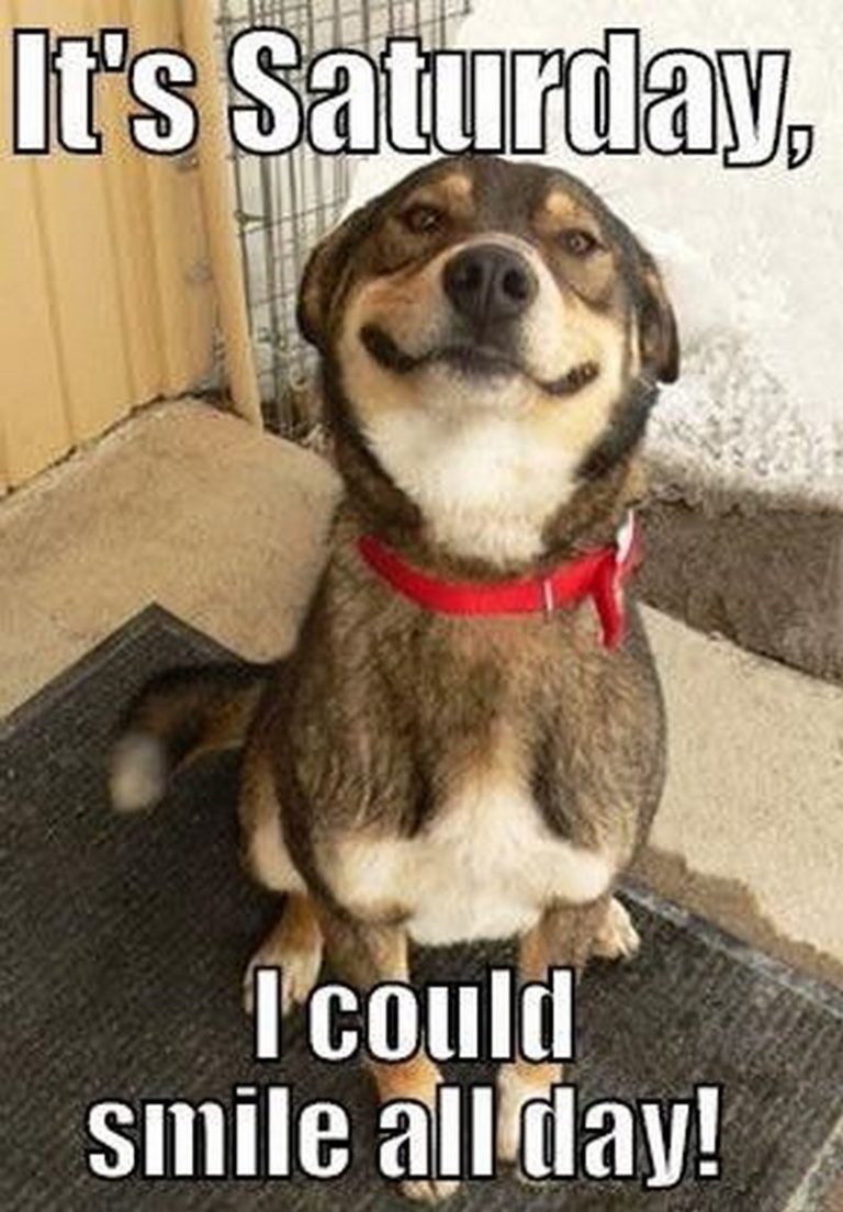 101 Funny Saturday Memes Will Make You Laugh From Morning Till Night
