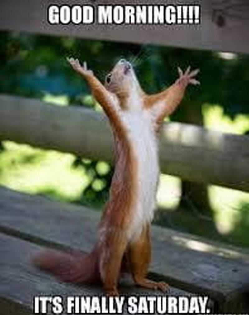 101 Funny Saturday Memes Will Make You Laugh From Morning Till Night