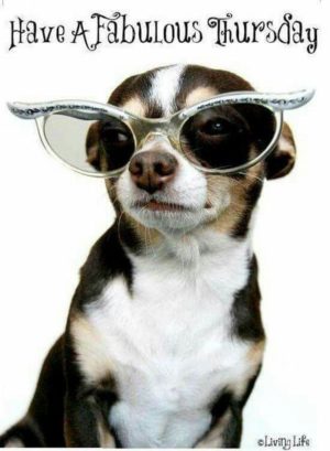 101 Funny Thursday Memes to Make You Happy All Day Long