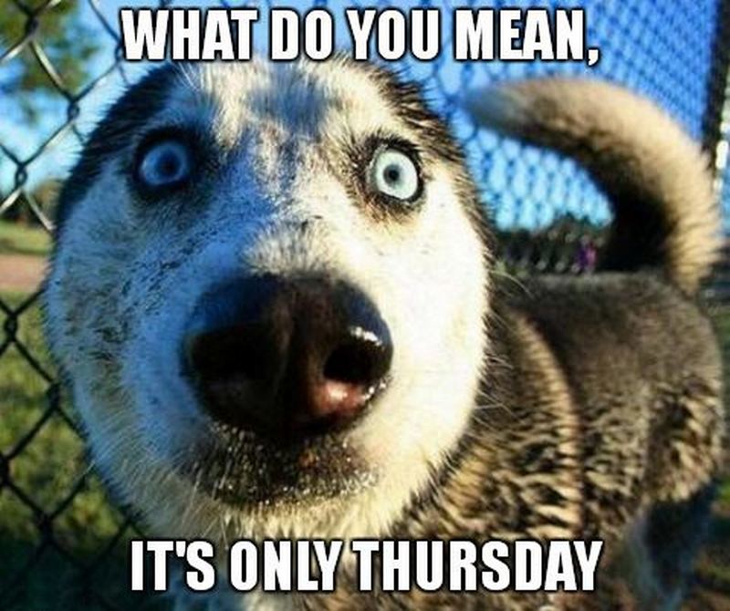101 Funny Thursday Memes to Make You Happy All Day Long