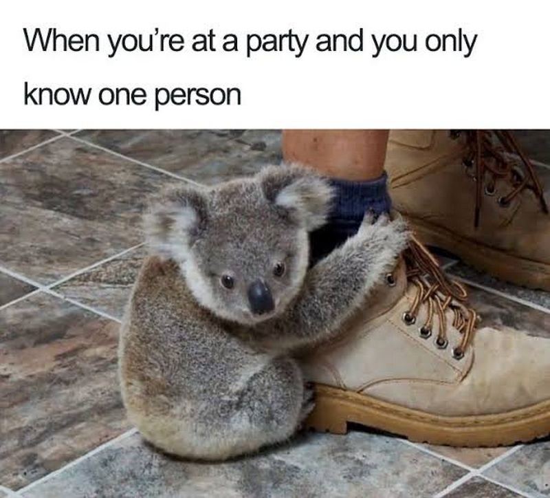75 Funny Introvert Memes You’ll Relate To