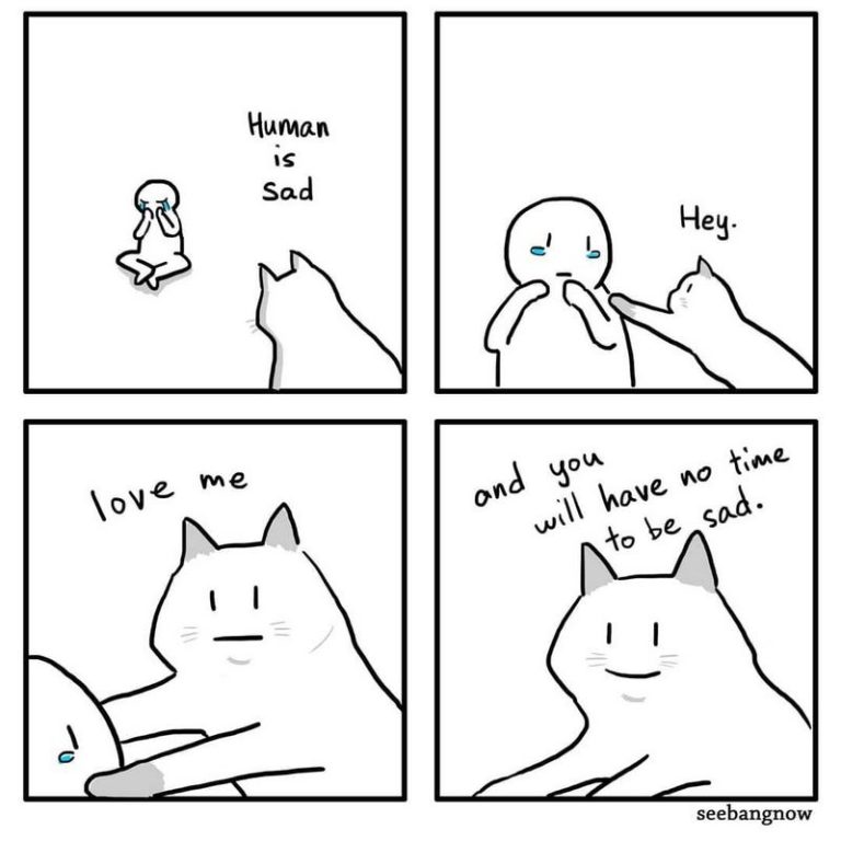 53 Sad Memes to Start Smiling Again