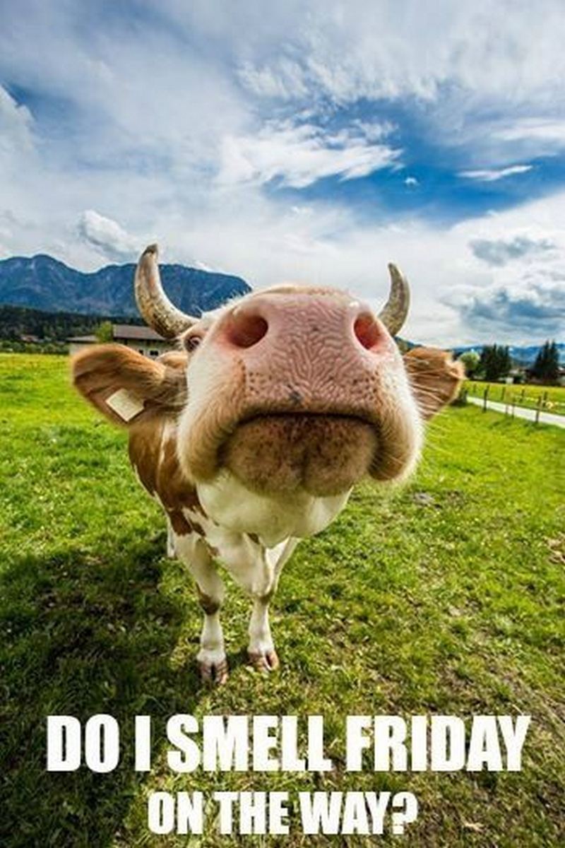 55 "Almost Friday" Memes When the Weekend Is Right Around the Corner