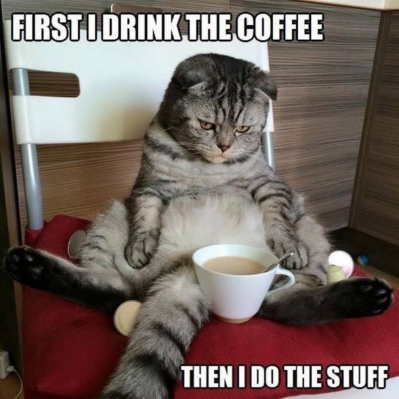 87 Funny Coffee Memes Is Just What You Need
