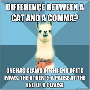57 Bad Grammar Memes That Prove Punctuation Is Important!