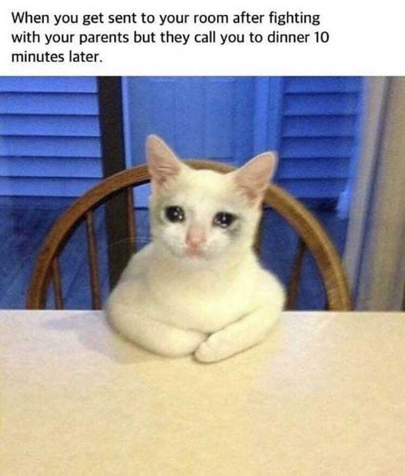 29 Funny Crying Cat Memes Will Make You All Warm and Fuzzy