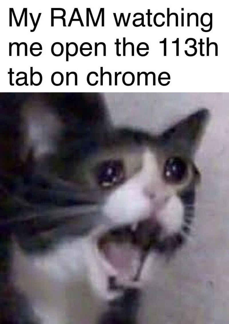 29 Funny Crying Cat Memes Will Make You All Warm and Fuzzy