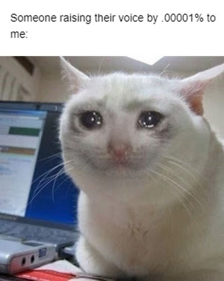 29 Funny Crying Cat Memes Will Make You All Warm and Fuzzy