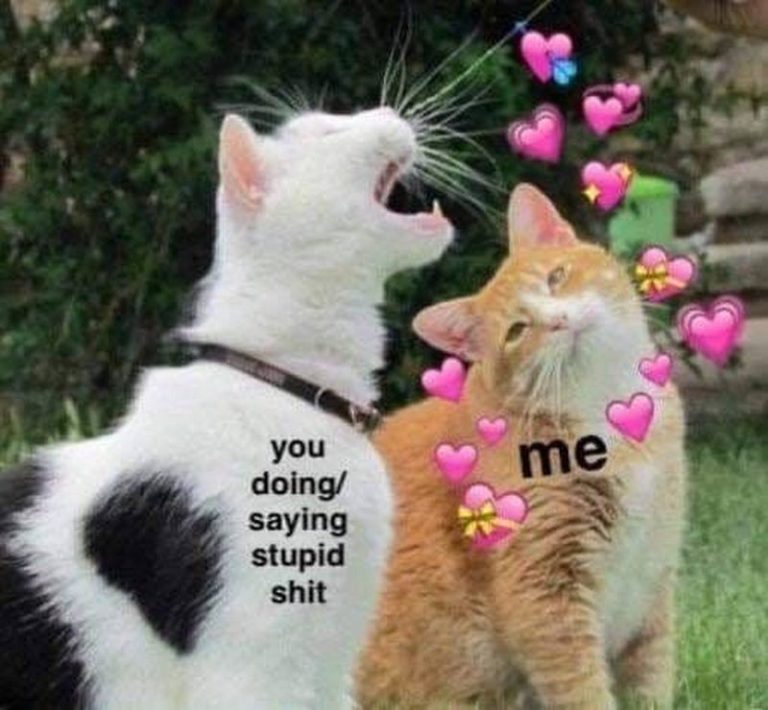 47 Wholesome Love and Affection Memes for That Special Person